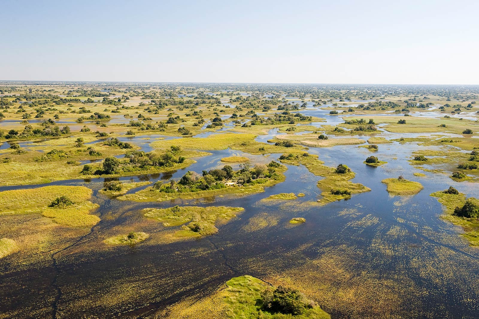 Okavango Delta & Moremi Game Reserve | Hide & Seek Luxury Travel