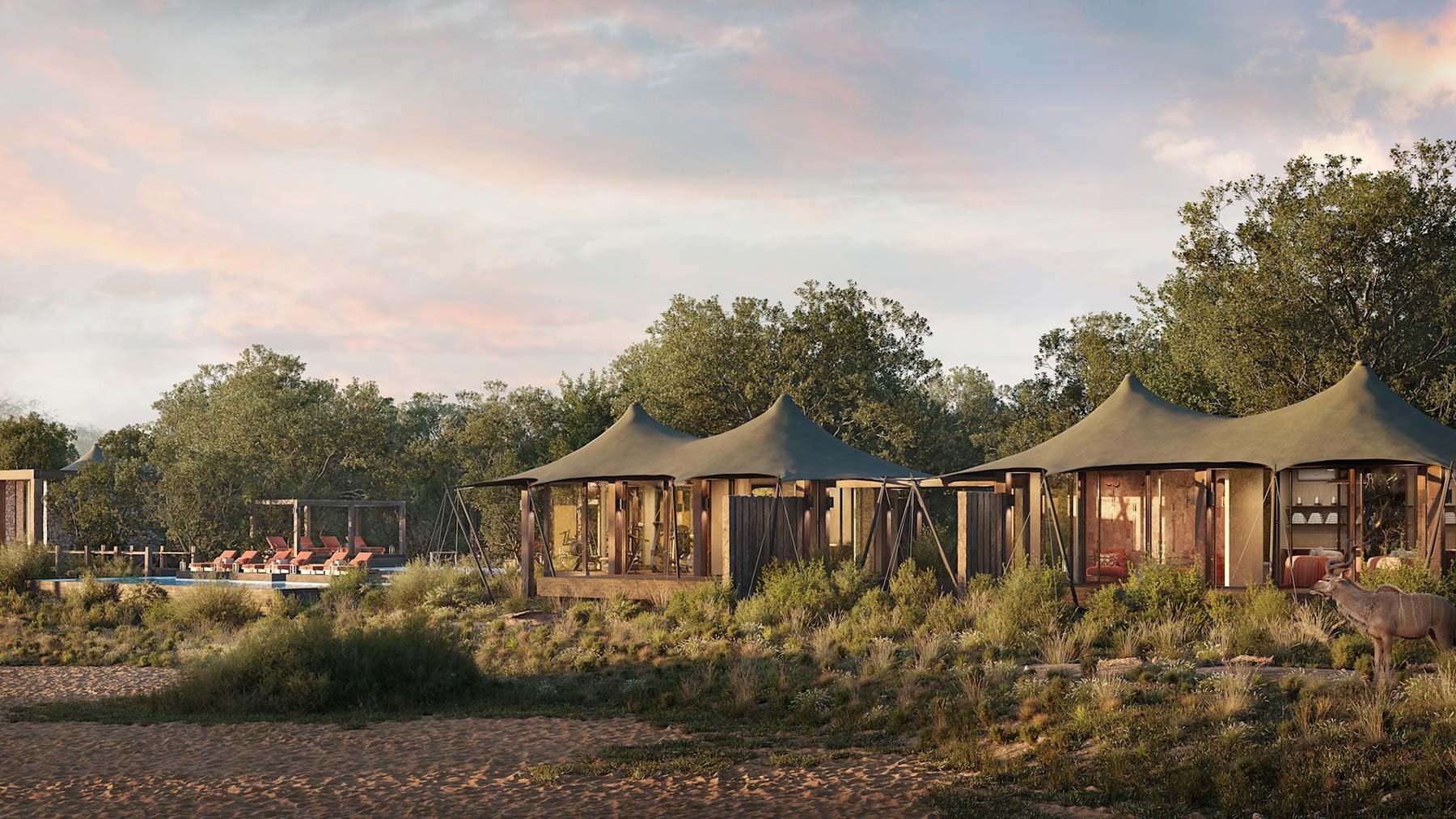 Ngala Tented Camp | Hide & Seek Luxury Travel